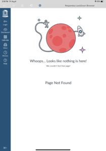 Respondus Lockdown Browser Babe Tech Guide