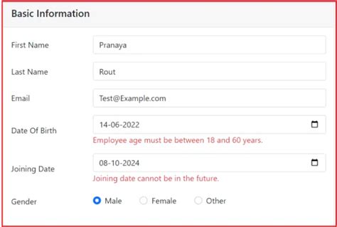 custom data annotation in asp core mvc dot net tutorials