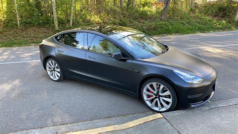 Toothlessthetesla Teslatoothless Twitter