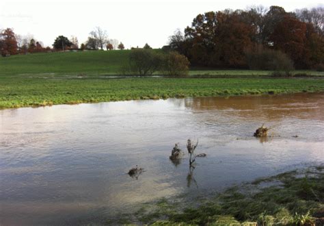 The Wey And Arun Canal West Sussex