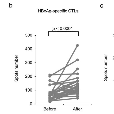 Hbsag And Hbcag Specific Ctl Induction By Cvp Nasvac A