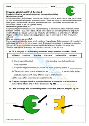 Free Printable Enzyme Worksheets For Babes