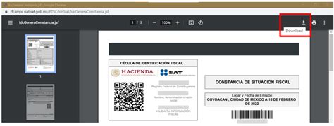 rfc and curp validation english mexico