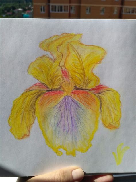 Как нарисовать цветок поэтапно учимся рисовать цветок карандашом розу колокольчик мак