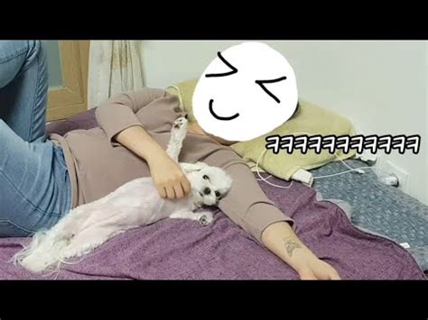 나비 귀여워ㅋㅋㅋㅋㅋㅋㅋㅋ YouTube