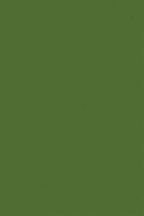Sage Green Solid Color Peel And Stick Wallpaper Or Non Pasted