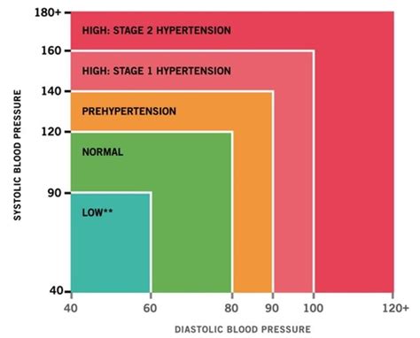 Pathophysiology Of Hypertention Flashcards Quizlet