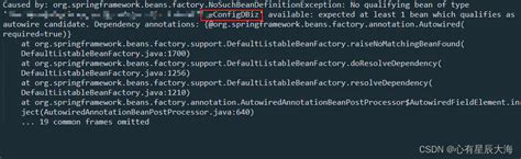 Expected At Least 1 Bean Which Qualifies As Autowire Candidate