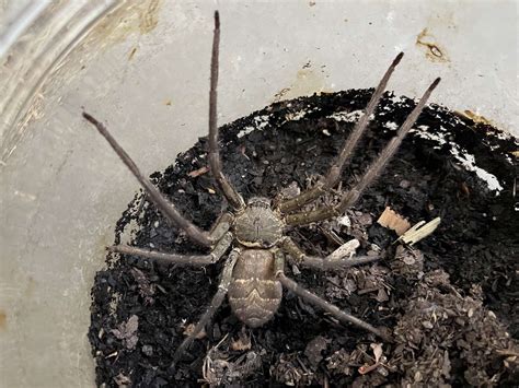ポロロッカ足柄 神奈川県南足柄市のペットショップ