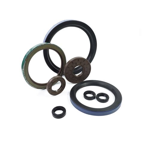 Tc Tg Tg4 Tb Sc Double Single Lip Nbr Fkm Fluorine Rubber Skeleton Oil