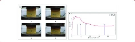 Example Of Mid Length Buckling Failure A Photographs Of Different Download Scientific