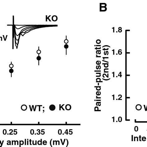 basal synaptic transmission and paired pulse facilitation in lmtk1 ko