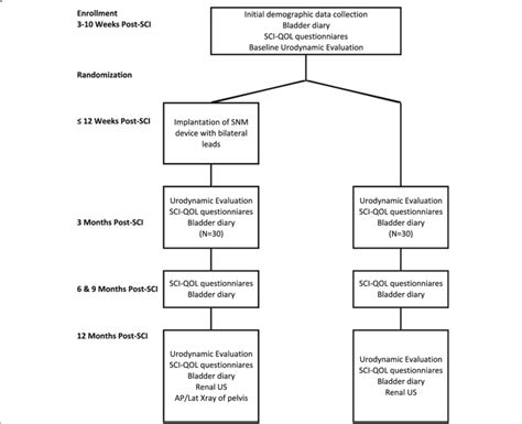Spinal Cord Protocol At Kate Gask Blog