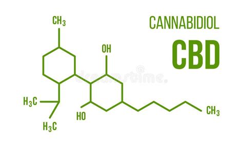 Cannabinol Chemistry Cannabis Formula On White Background Vector Symbol Cbd Molecular Structure