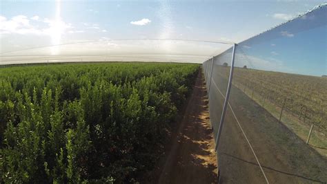 netting gallery elite netting protective netting structures woodside sa