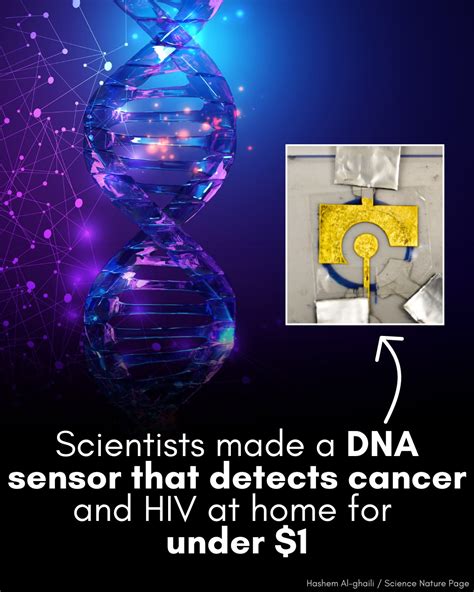 Hashem Mit Created A Dna Sensor That Detects Diseases Like Cancer And