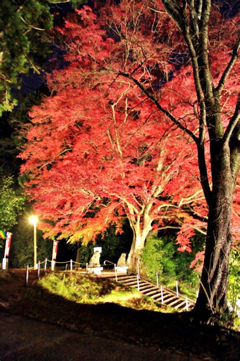 参道の目印 GANREF