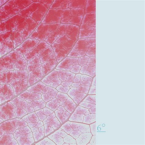 The 6th Degree Pedestrian