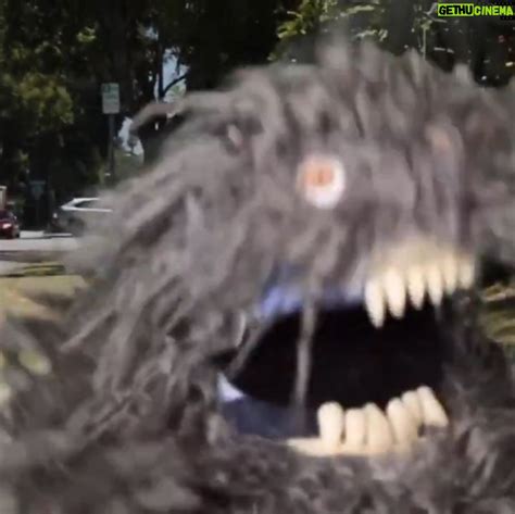 Chris Fleming Gethu Cinema