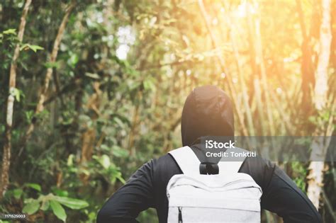 녹색 자연 보케 태양 빛 추상적 인 배경과 정글에 걸어 배낭 남자 가을에 대한 스톡 사진 및 기타 이미지 가을 걷기 계절 Istock