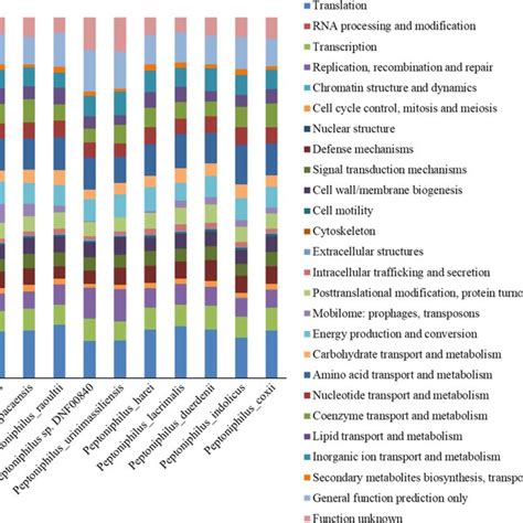 Distribution Of Functional Classes Of Predicted Genes According To The