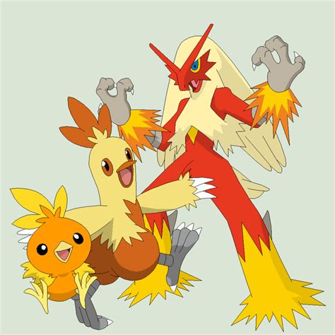 Torchic Evolution