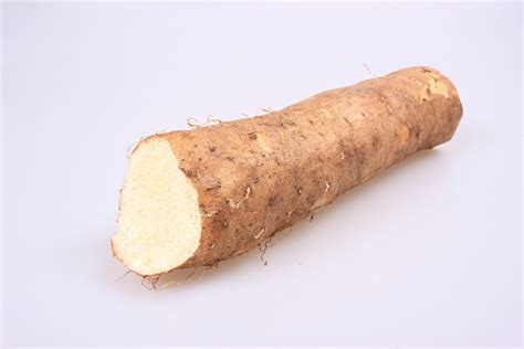 Ubi Cina Foto Stok Unduh Gambar Sekarang Akar Bagian Tanaman