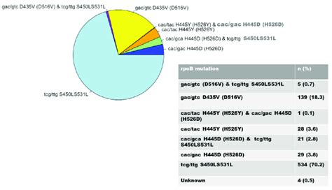 Distribution Of Rpob Gene Mutations Download Scientific Diagram