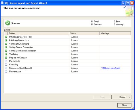 Dataset Issue With Floating Point When Importing Flat File Comma