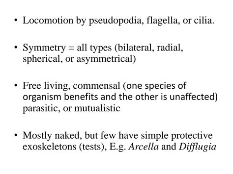 Solution Phylum Protozoa Presentation For Microbiology Students