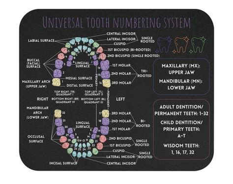 Mac Os Keyboard Shortcuts Printable Digital Download Printable Apple