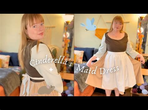 Cinderella Maid Dress Costume