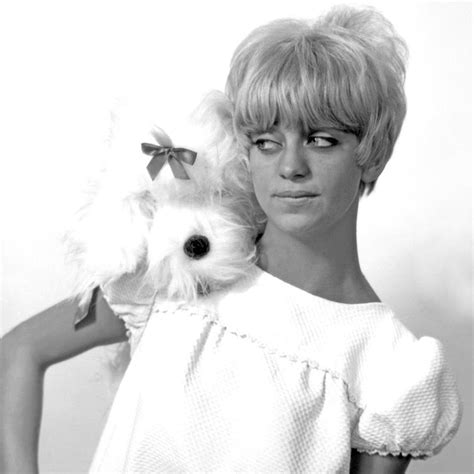 30 Fascinating Photos Of A Young Goldie Hawn In The 1960s Vintage