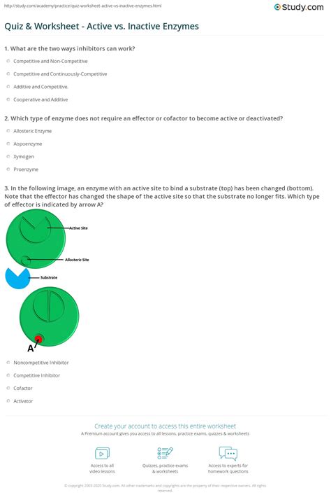 Quiz And Worksheet Active Vs Inactive Enzymes