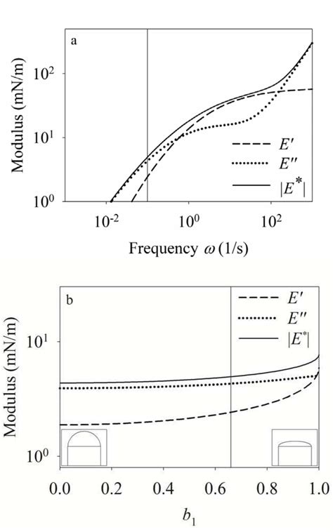 4 The Small Amplitude Dilatational Modulus Of An Interface