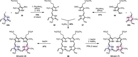 A Platform For The Synthesis Of Oxidation Products Of Bilirubin Pmc