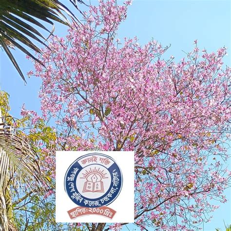 বঙ্গবন্ধু শেখ মুজিব কলেজ