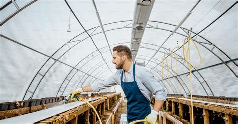 잘 생긴 노동자는 물총으로 선반을 씻고 농장의 온실에서 달팽이를 돌보고 있습니다 먹기위한 달팽이 양식의 개념 사진 Unsplash의 우크라이나 이미지