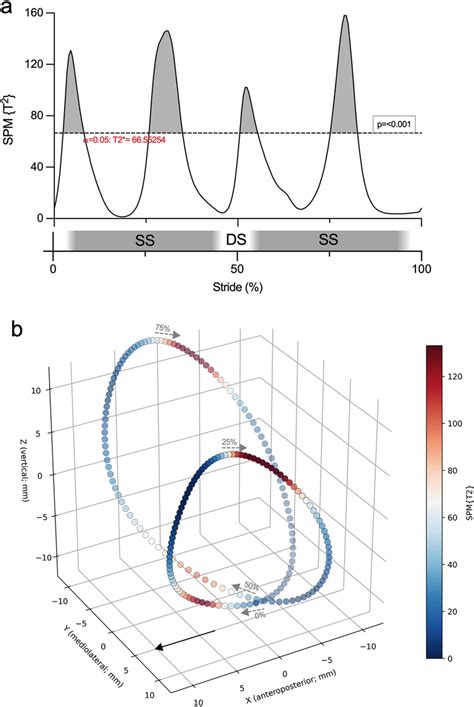 spm paired hotelling s t² test on the three dimensional bcom trajectory