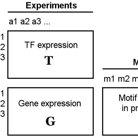 The Matrices Top Bottom Left And Bottom Right Each Row Of