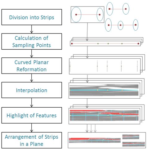 The 6 Computational Steps To Create The Presented Treeview Of The Download Scientific Diagram