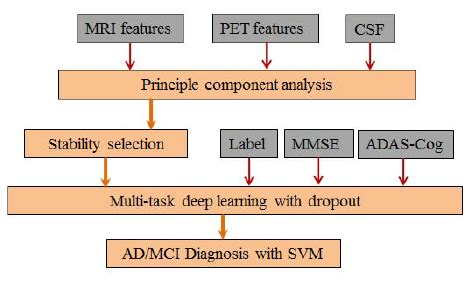 Diagram Of The Proposed Multi Task Deep Learning Framework Download Scientific Diagram