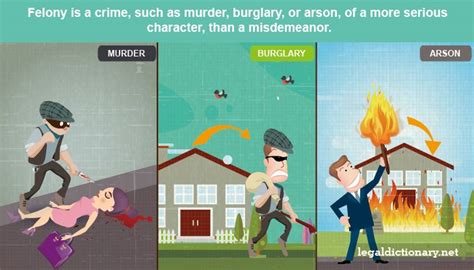 Offense Meaning 1 Amnesty N A General Pardon For An Offense