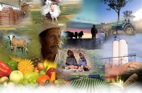 32 Cultura Diversidad Sociocultural Genially