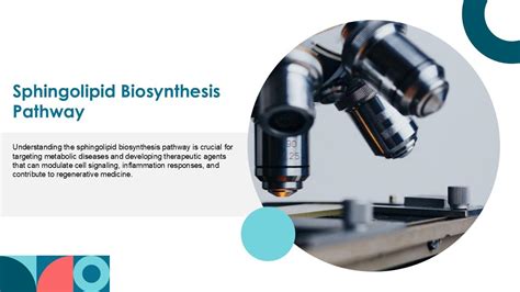 Sphingolipids Function Ppt Example Acp Ppt Sample