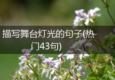 描写舞台灯光的句子 热门43句