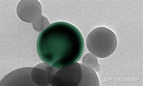 【tem】一分钟上手tem图像上色，让你的论文高大上！ 知乎