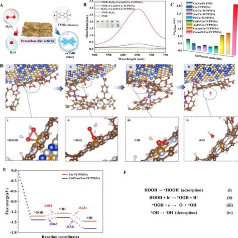 A Schematic Illustration Of The Preparation Cuaupt Cu Tcpp Fe Download Scientific Diagram