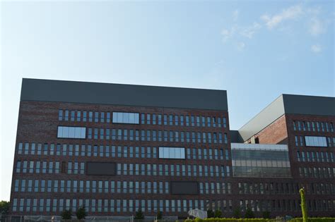 Multiplexed Ihc Milan — Laboratory For Precision Cancer Medicine