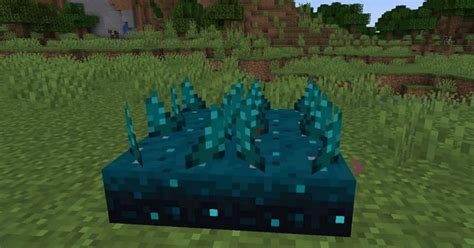 How To Get And Use A Sculk Sensor In Minecraft Touch Tap Play